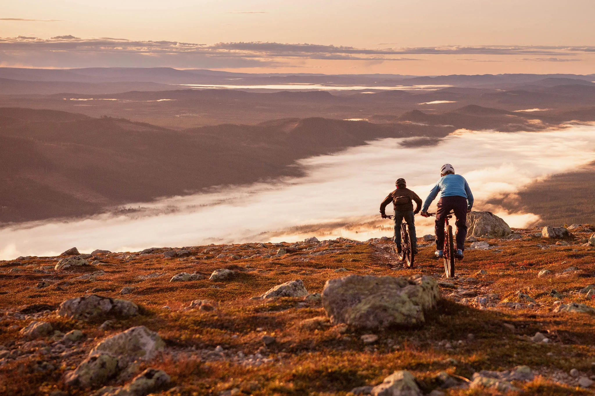 EY Studio+ Global | Form fremtiden med selvtillid
